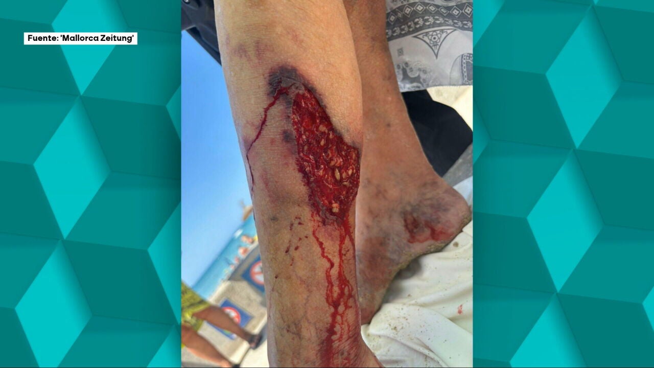 Bokep link sotwe the one review I found one review how