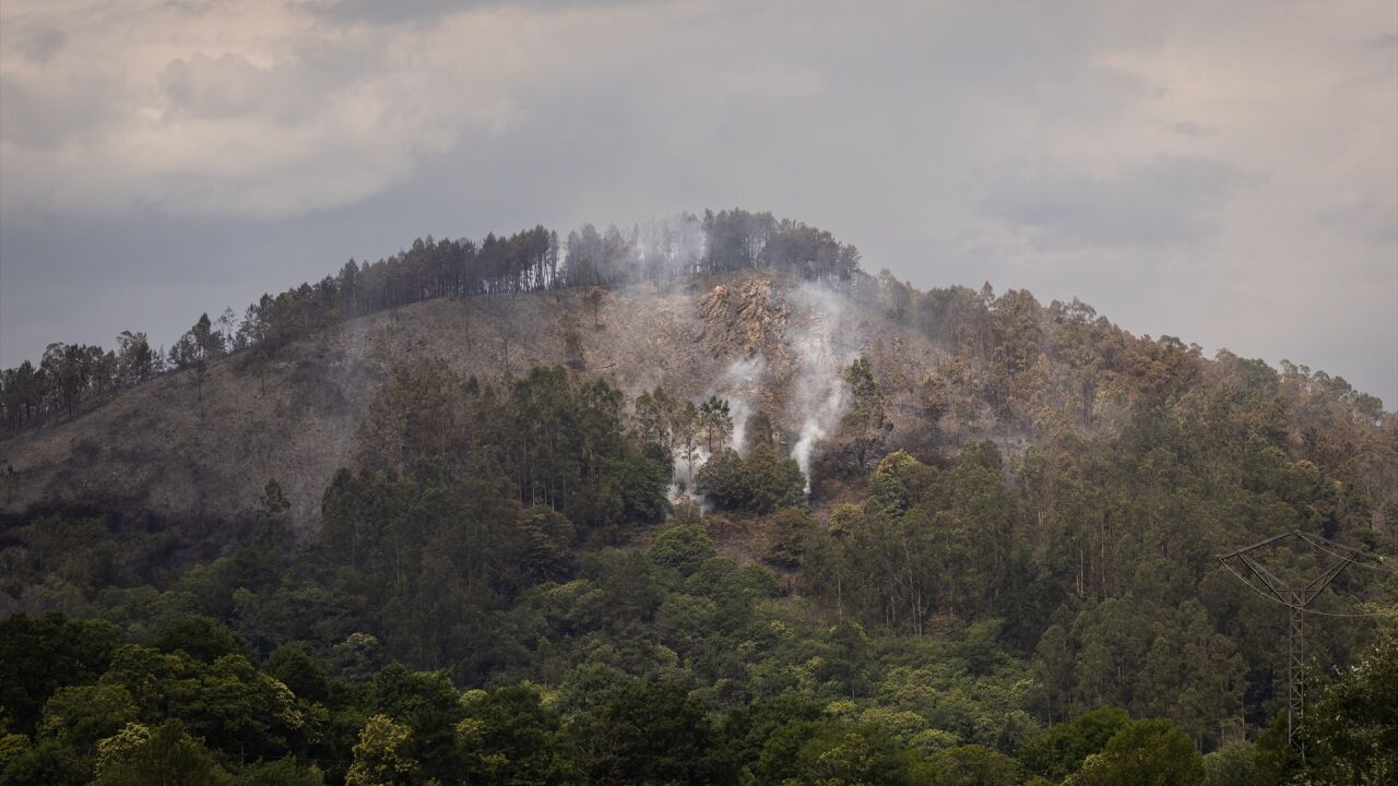 Oleada de incendios al inicio de temporada: el fuego obliga a actuar en ...