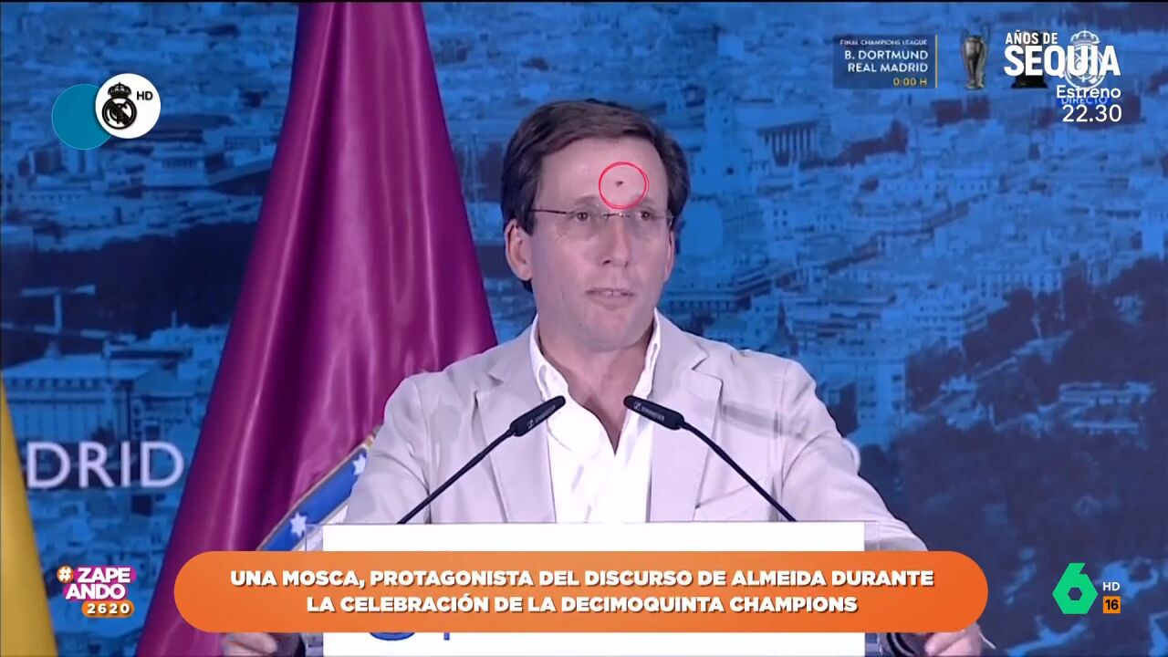 Una mosca protagoniza el discurso de Almeida durante la celebración de ...