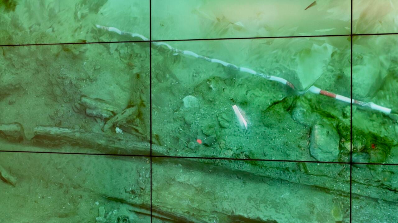 Alex star xxxxxxx she is chatty as well as nice during the