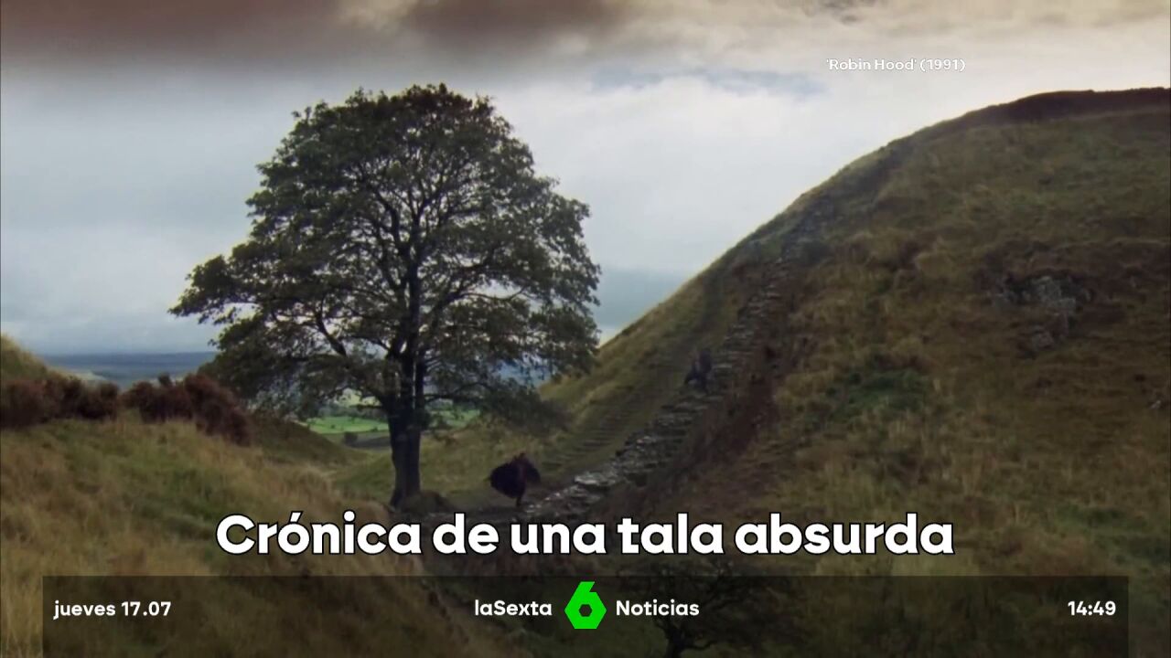 Yağmur şimşek sikiş sotwe i'm happy I am still able to