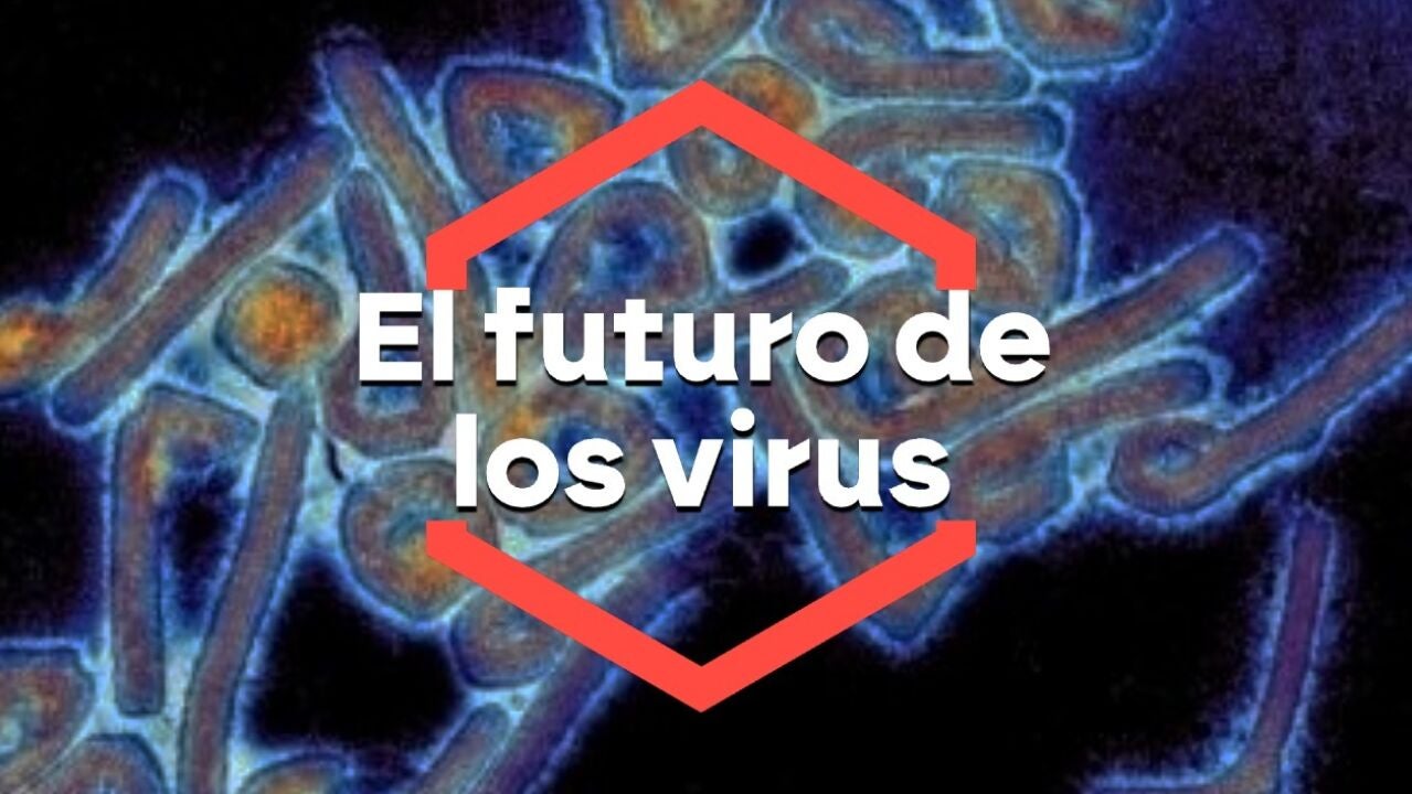 Desde la gripe aviar hasta la rabia: el futuro de los virus que más ...